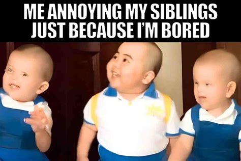 50 Hilarious Sibling Memes From Fights To Fun