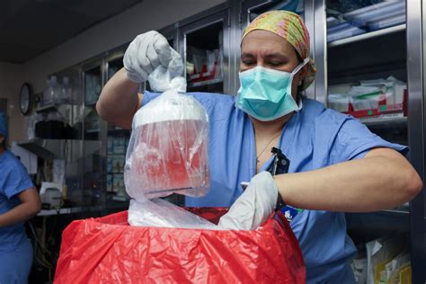 Pig kidney transplanted into living person for first time | CNN