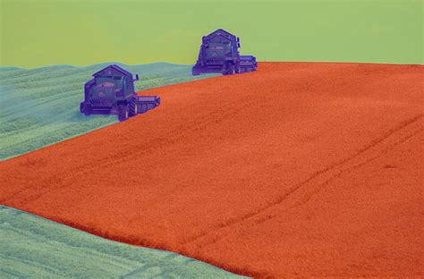 Data Bias In Ai Agriculture Ensuring Fairnessandsustainability Keymakr