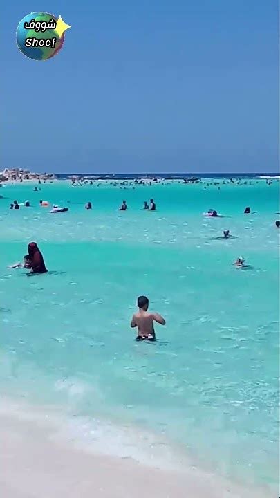 شاطئ الغرام ونظرة سريعة على سحر جمال الشاطئ بمرسى مطروح Youtube