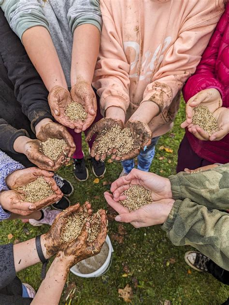 Maple Wind Farm Maple Wind Farm Added A New Photo — In