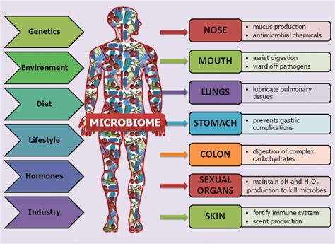 Comment Votre Microbiome Contrôle Votre Vie Savoir Média