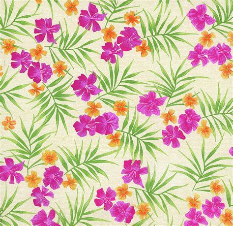 Pink Hybiscus Digital Art By Joyce Bantock Fine Art America