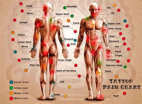Tattoo Placement Chart Tattoo Placement Chart
