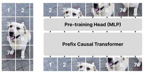 Naraim Native Aspect Ratio Autoregressive Image Models Phillip Lippe