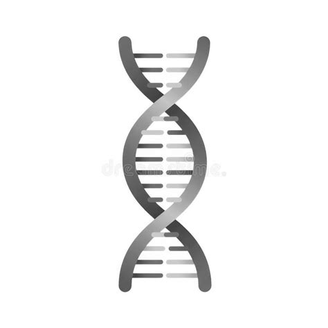 Dna Double Helix Structure Illustration On White Background Stock