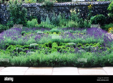 Best Herbs For Knot Gardens At Melva Rainey Blog