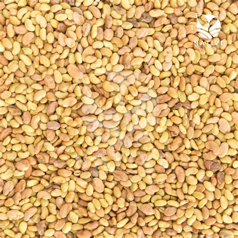 Alfalfa Seeds Native Of Natural