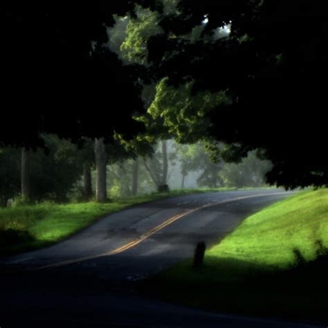 Treehouse By Alex G Single Bedroom Pop Reviews Ratings Credits