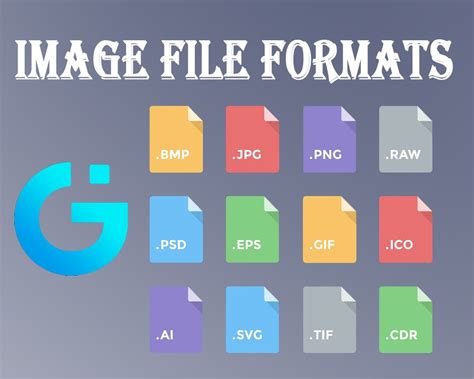 Image File Formats: When To Use Each File Type?