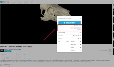 Konten Format Model 3 Dimensi Berilsensi Cc Di Platform Sketchfab
