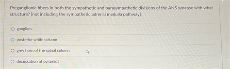 Solved Preganglionic Fibers In Both The Sympathetic And
