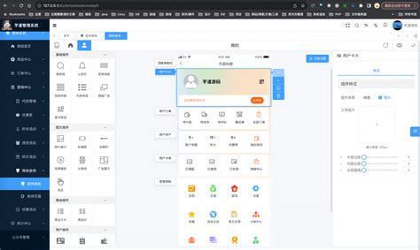 商城装修 Ruoyi Vue Pro 开发指南