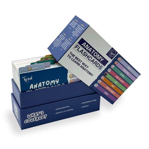 Anatomy Flashcards Physical And Digital Typical Pt