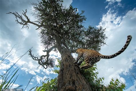 The Stunning Winners Of The 2022 World Nature Photography Awards