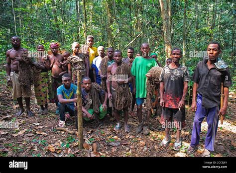 Pygmy Tribe In The Dzanga Sanha Forest Reserve Central African