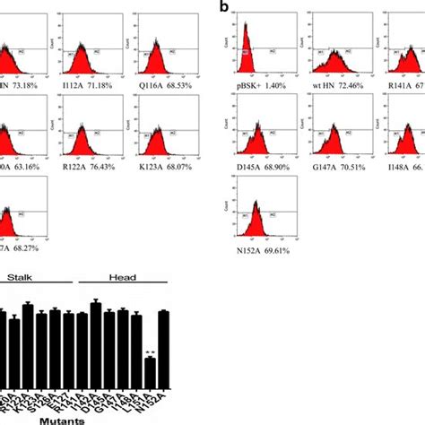 Expression Efficiency Of Mutant Proteins On Cell Surface Cell Surface