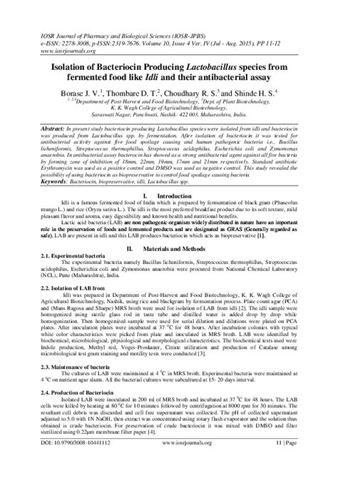 Pdf Isolation Of Bacteriocin Producing Lactobacillus Species From