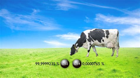 C 14 Methode Youtube