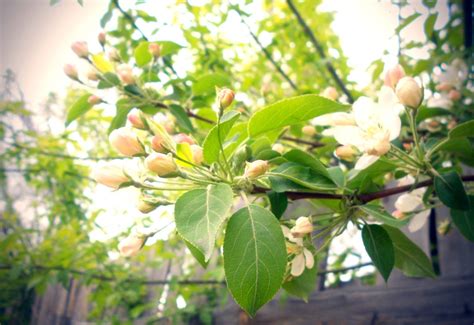 01 By Olyav On Deviantart