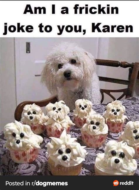 Kollin Mark Cockrell A Name To Remember Memeam