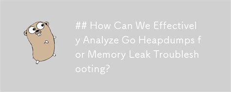 如何有效分析 go heapdump 來排查記憶體洩漏？ golang php中文網