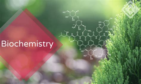 Biochemistry Course Gate