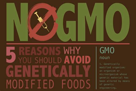 No Gmo 5 Reasons To Avoid Genetically Modified Organisms Kims