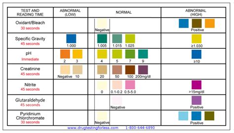 13 Panel Drug Test Cup With Adulterants Clia Waived Safelife