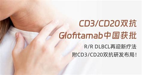 Cd3 Cd20双抗glofitamab中国获批，r R Dlbcl再迎新疗法 附cd3 Cd20双抗研发布局！ 知乎