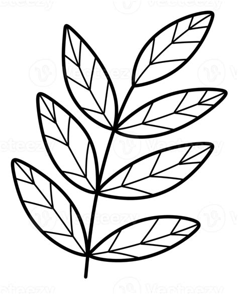 Line Art Tropical Leaves 18803355 Png