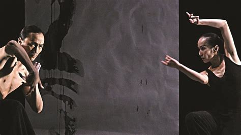 프라임 비디오 Wild Cursive