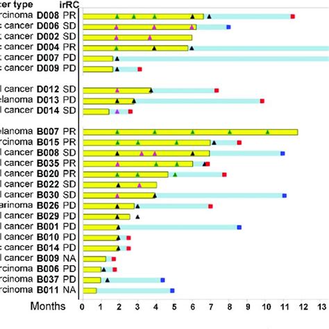 The Spider Plot Shows Measurement Of Target Lesion Of Each Subjects