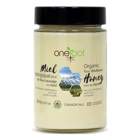 Organic Raw Wildflower Honey 500g Shopee Singapore
