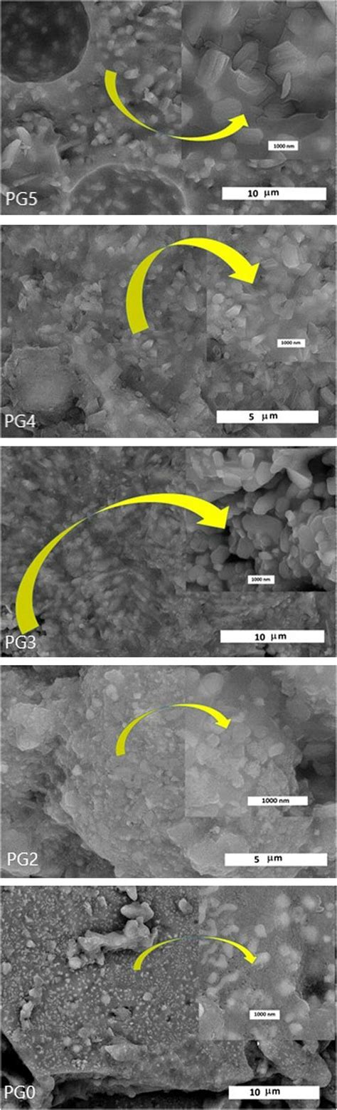 Sem Microscopy Of The Present Pg0 Pg2 Pg3 Pg4 And Pg5 Samples Download Scientific Diagram