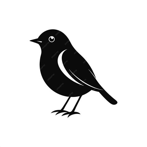 Robin Bird Silhouette Vector Illustration Isolated On White Background