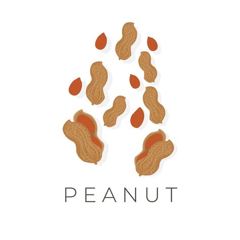 Vector Illustration Of Peeled Peanuts And Nuts With Skins Collection
