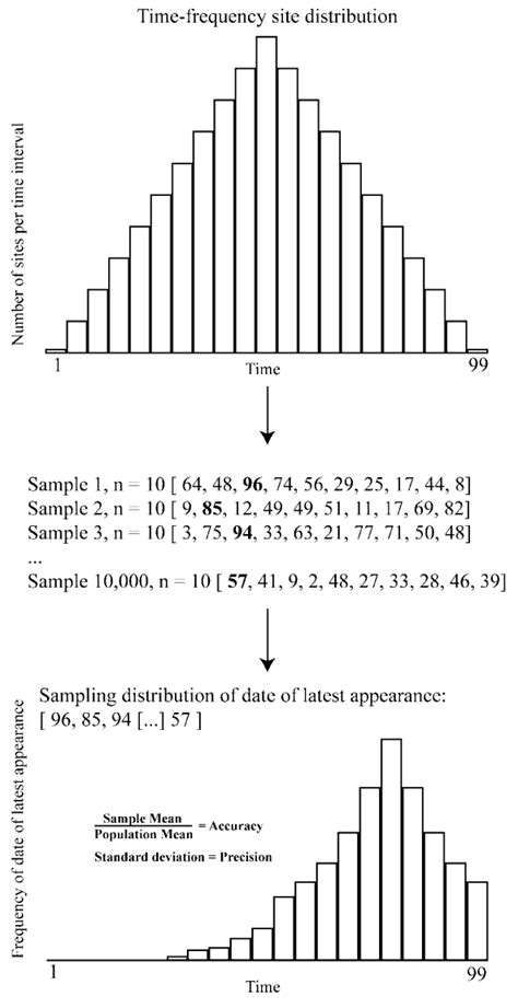 Schematic Example Of The Sampling Simulation Process 10000