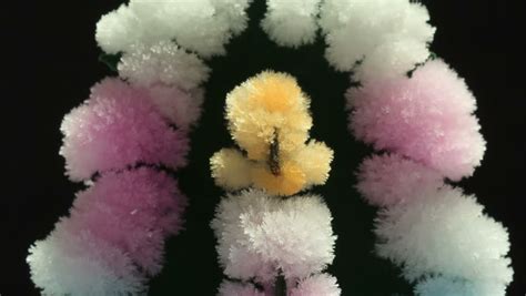 Time Lapse Of Growing Crystals Stock Footage Video 100 Royalty Free 7335511 Shutterstock