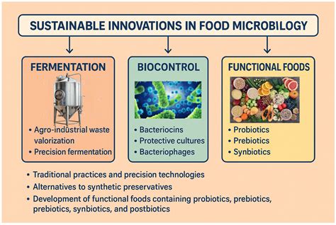 Sustainable Innovations In Food Microbiology Fermentation Biocontrol