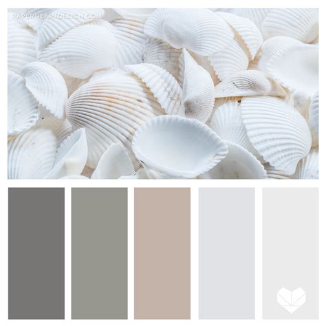 Seashell Colour Code At Kristy Breeden Blog