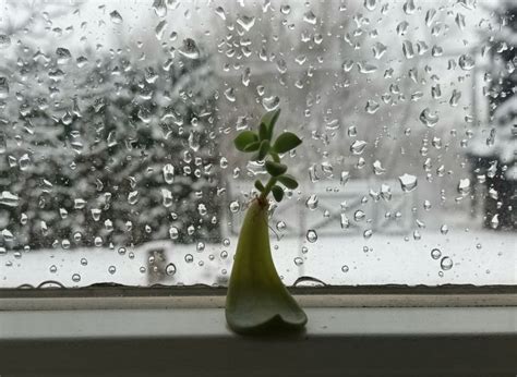 Creativity Wieslaw Topczewski