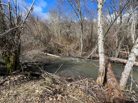 Past Project Large Woody Debris Placement On Gooseneck Creek A Success