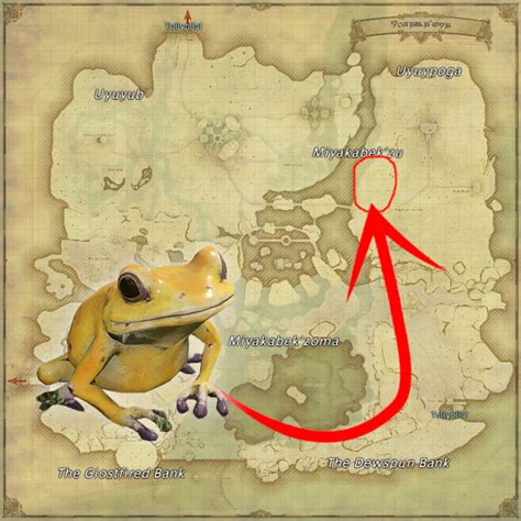 How To Get Poison Frog Secretions In Final Fantasy Xiv Ffxiv
