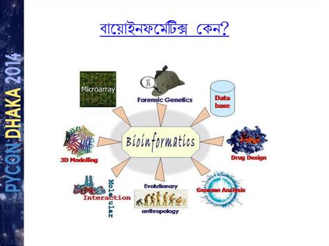 python and bioinformatics ppt