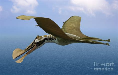 Tropeognathus Pictures And Facts The Dinosaur Database