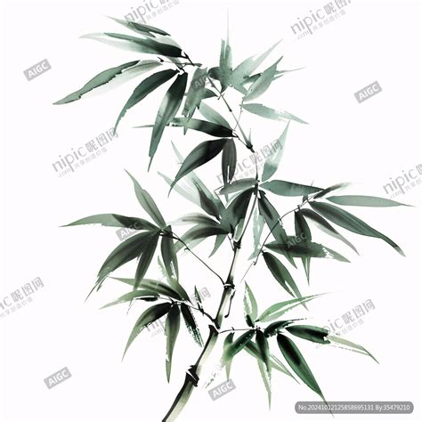 Ai创作图竹叶竹枝竹韵 水墨竹子竹叶竹子竹枝 竹子竹叶枝条 竹子竹节竹叶 竹叶竹枝素材 竹叶竹枝竹林竹子 水墨竹叶水墨竹子 竹子竹枝竹影墨竹 青竹叶竹叶素材 写意竹子水墨竹子 竹子竹叶白竹