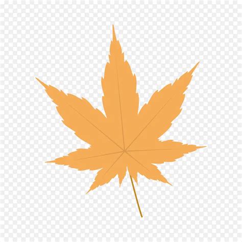 手绘枫叶png图片素材下载图片编号ypalagrx 免抠素材网