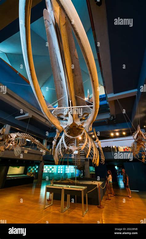 Maritime Museum Santander Bay Santander Cantabria Spain Europe