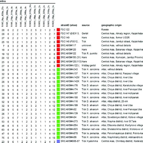 upgma clustering analysis of mediasiatica strains based on mlva15 data